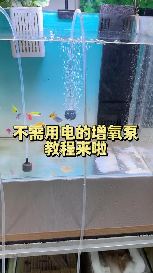 自制鱼塘增氧机最简单的方法游戏截图