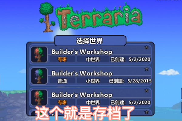 泰拉瑞亚steam全物品存档图标
