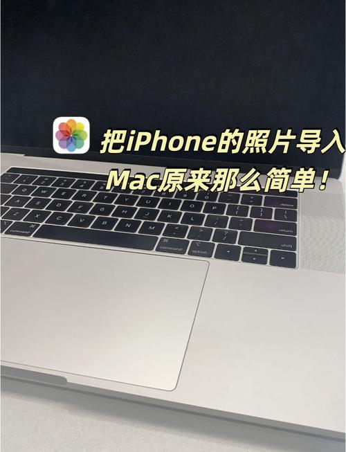 mac相册如何导出图标