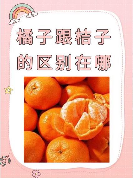 橘跟桔有什么区别图标