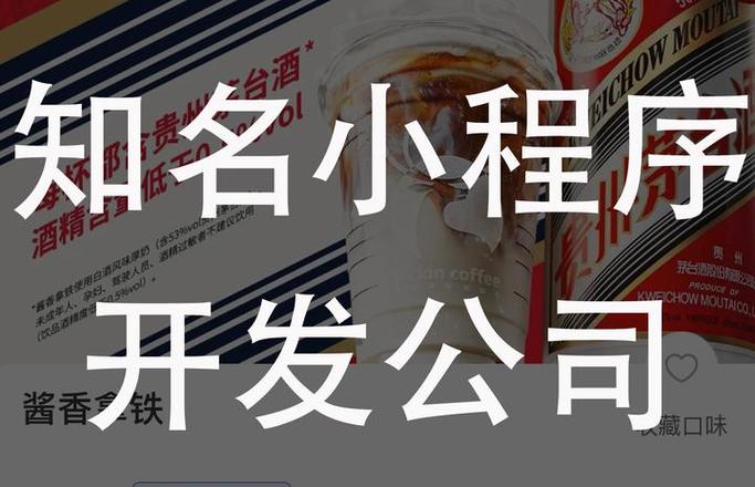 小程序开发哪家好截图