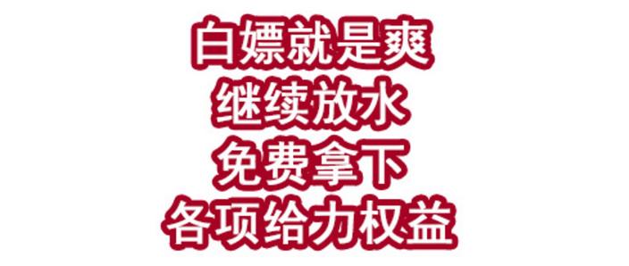 极客白嫖是什么截图