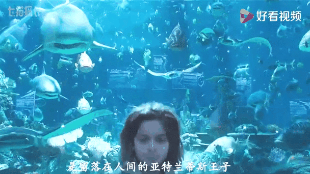 《海王传奇.海王篇》截图