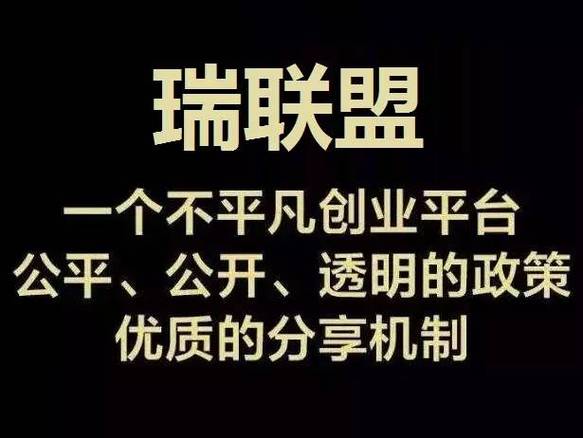 瑞联盟模式