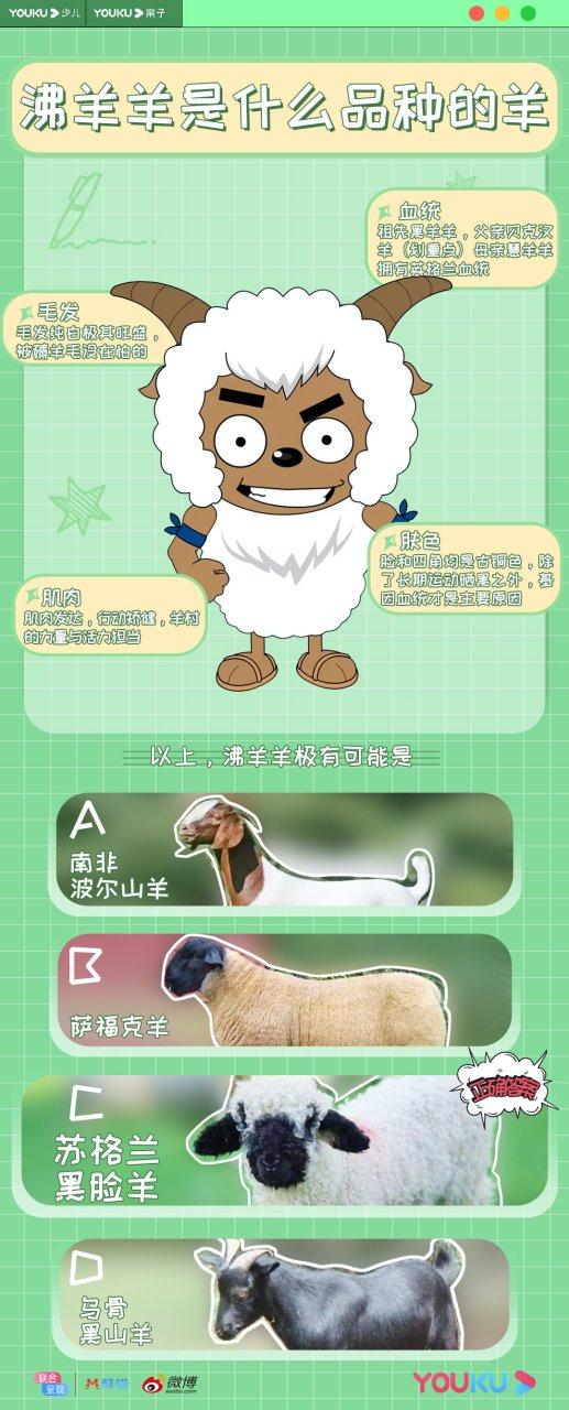 沸羊羊品种介绍图标