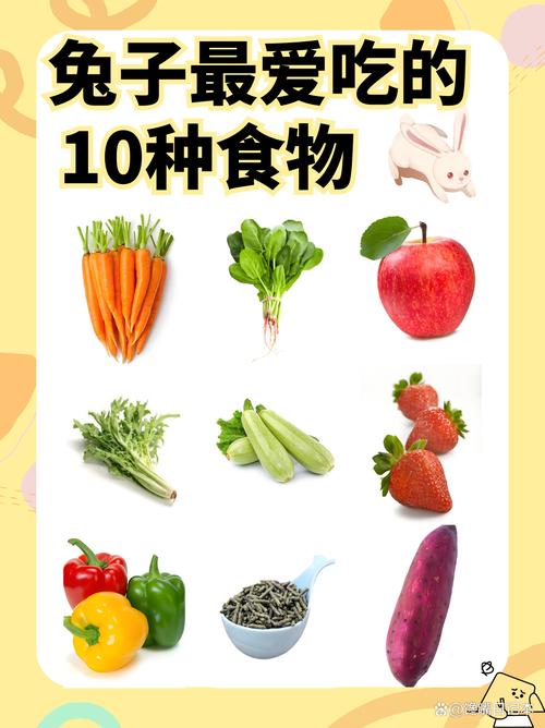 兔子最喜欢吃的10种食物截图
