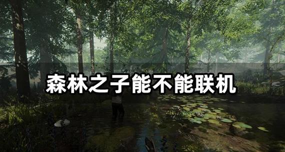 森林多人游戏怎么让队友作弊截图