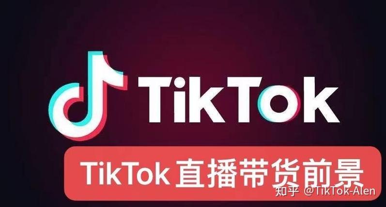 tiktok赚钱项目图标