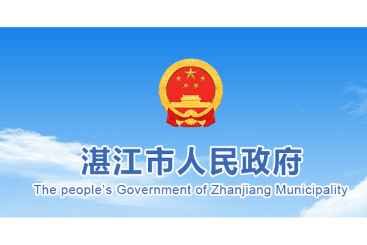 湛江市委官网网站图标