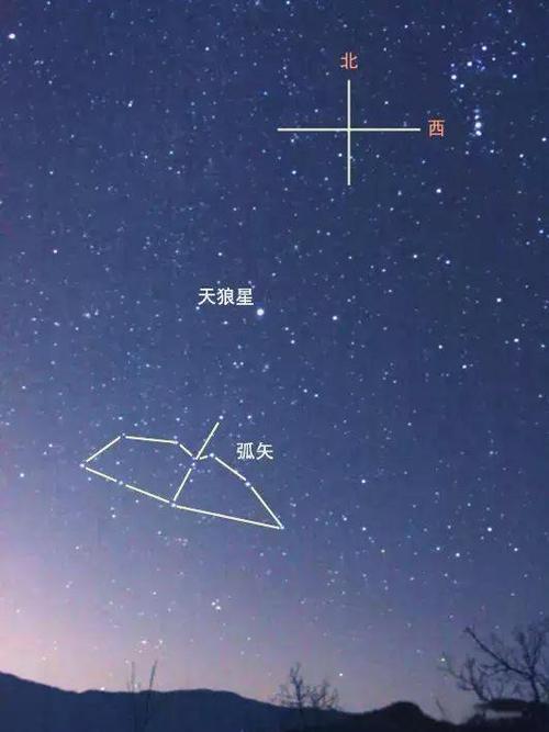 天狼星影视图标