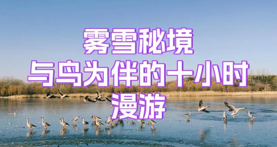 10小时一口气看完动漫图标