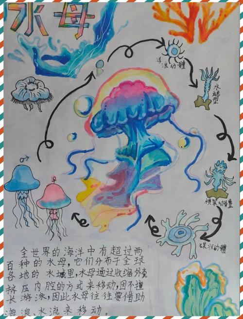 法国漫画水母日记五宝