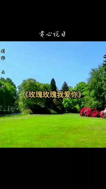 玫瑰玫瑰我爱你mv图标