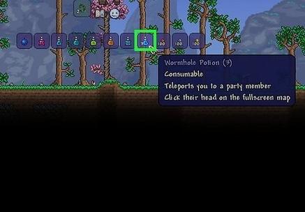 泰拉瑞亚 虫洞药水图标