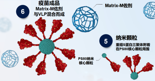 vlp疫苗属于哪种疫苗图标