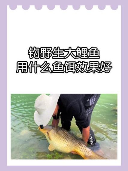 咬钩是什么意思图标