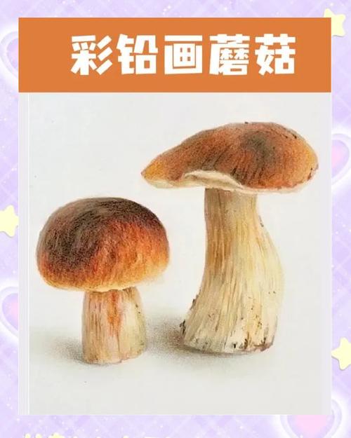 彩铅上色技巧有哪些图标