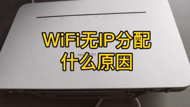 无ip分配连不上wifi截图
