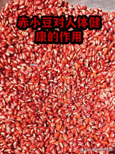 瓜小瓜和豆小豆是品牌吗截图