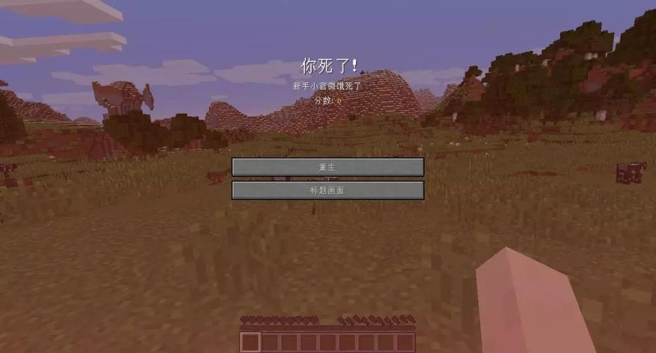 在我的世界里饿死图标