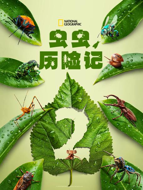 虫虫历险记中文版图标