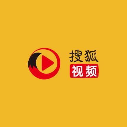 搜狐视频TV版叫什么图标