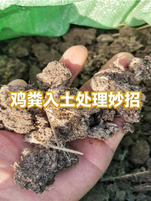 这是book,一本书从小到入土打一四字成图标