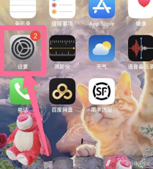 苹果13怎么设置5g网络