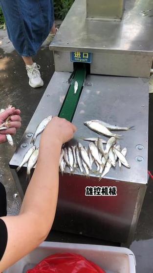 最新款杀鱼机器视频