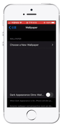 selifan app ios