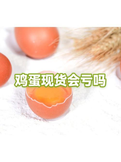 自己养鸡卖鸡蛋挣钱吗截图
