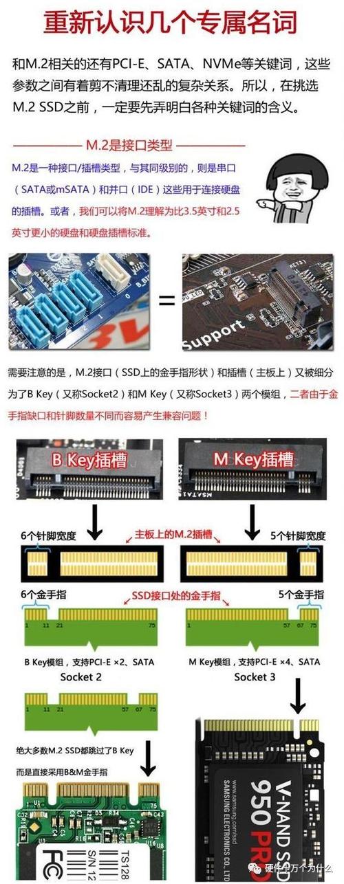 主板可以装几个硬盘