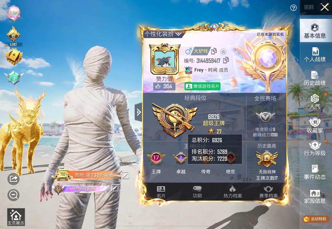 DY直装8.0免费-和平精英图标