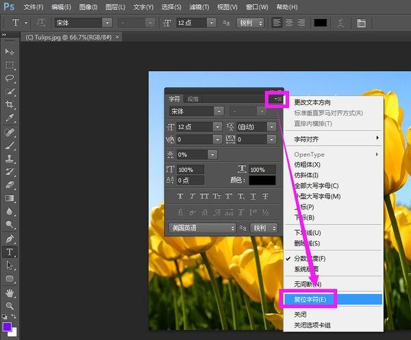 ps字体光标显示不出来