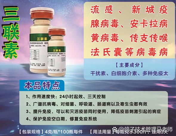 养鸽子必备三样药