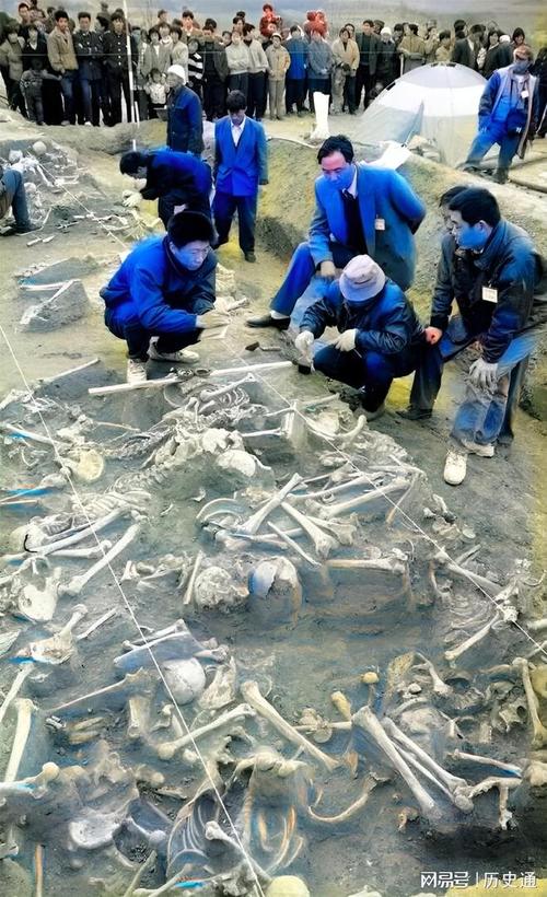 遗骸和尸骨的区别图标