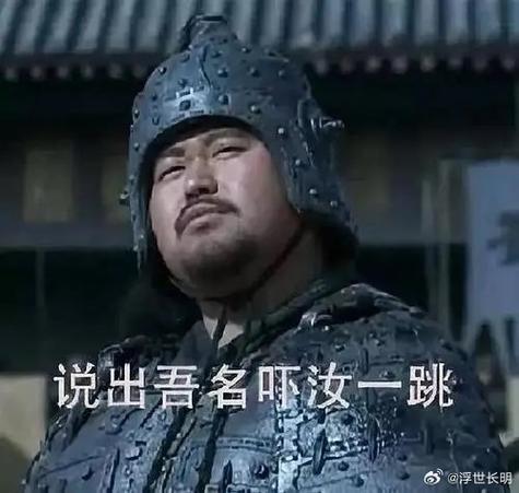 三国 表情包