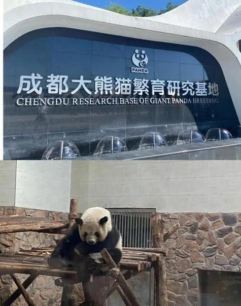 成都熊猫基地门票官网订票图标