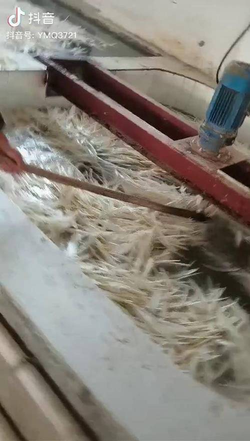 洗衣机能把狗毛洗掉吗图标