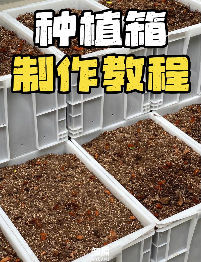 种植箱最好用什么材料图标