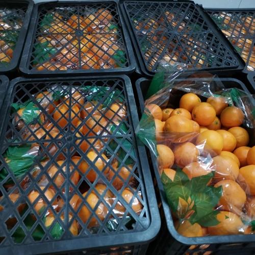 水果批发配送上门图标