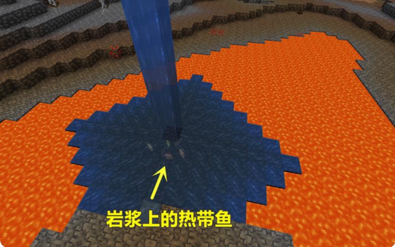 我的世界热带鱼在哪抓截图