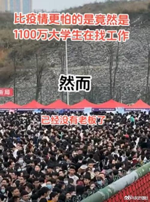专科生找工作好难图标