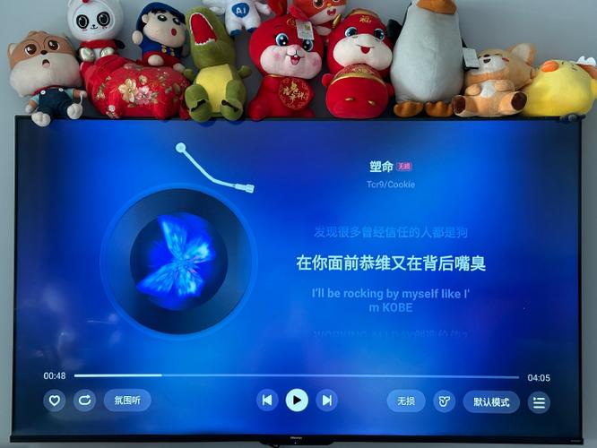 网易云TV版旧版本下载图标