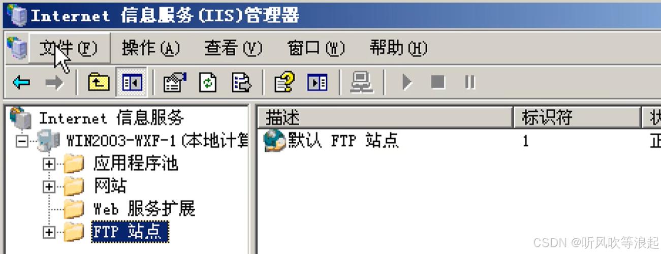 iisexpress