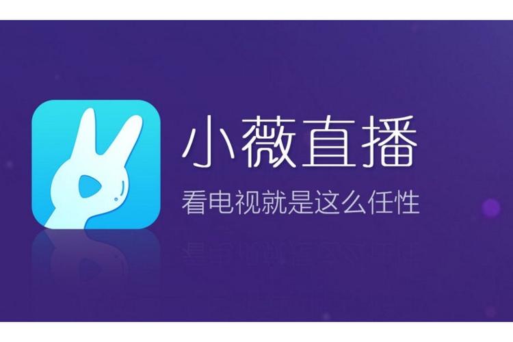 小薇直播 vip图标