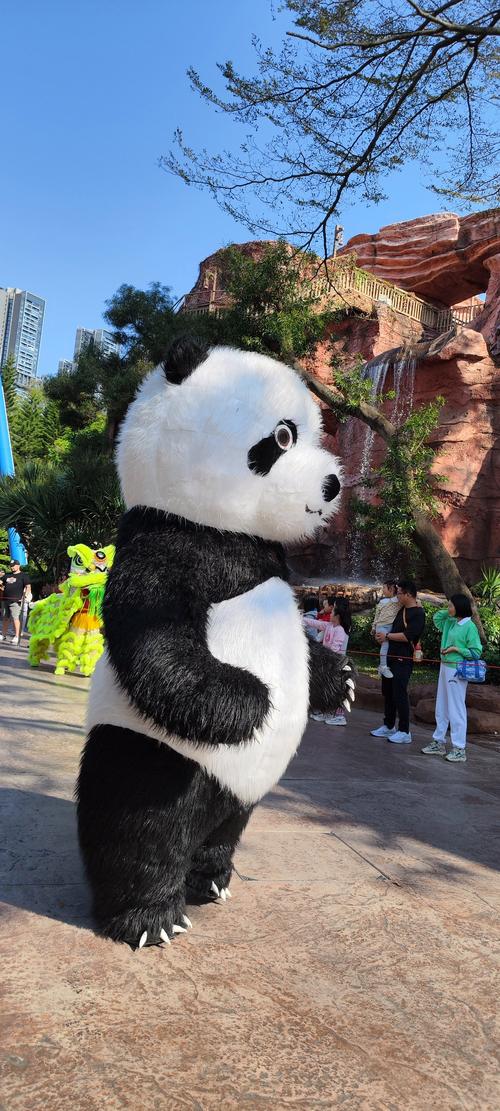 熊猫快乐游下载图标