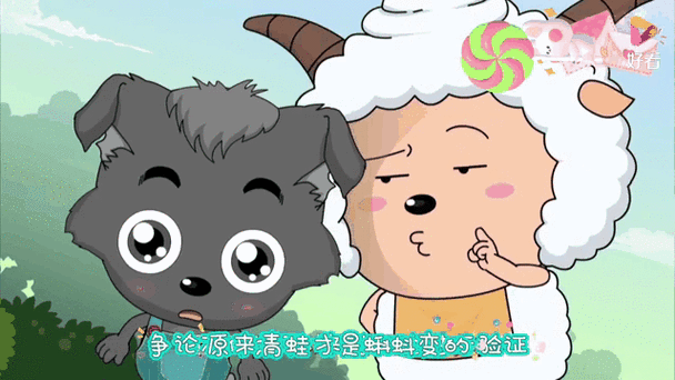小灰灰200几年出生的