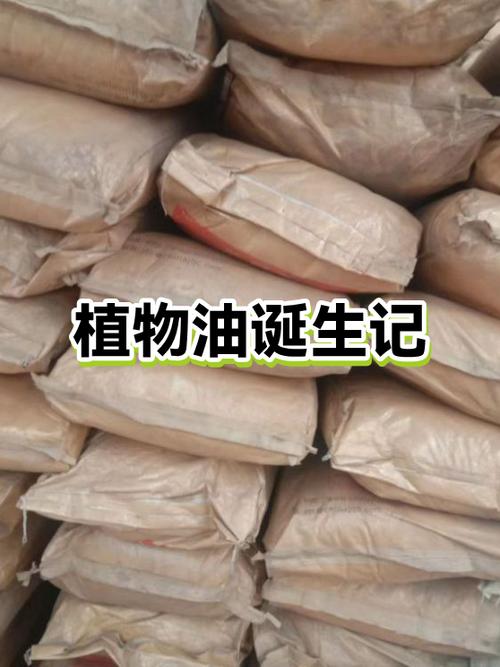 吸油记不减反增版官方版内容截图