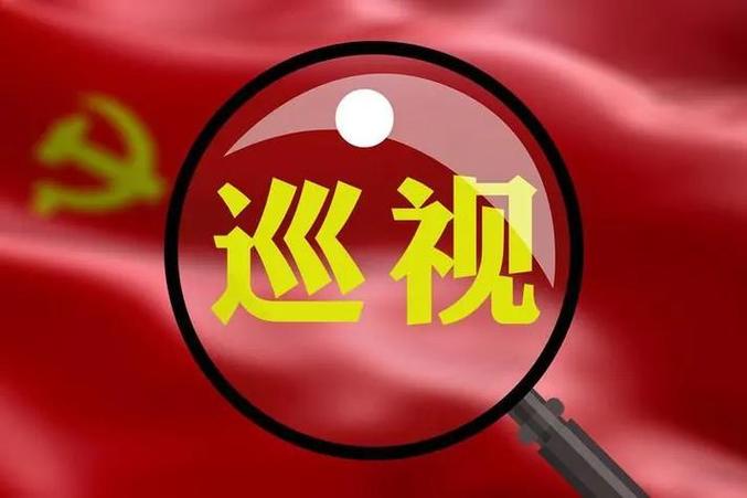 中央巡视组带警卫吗图标